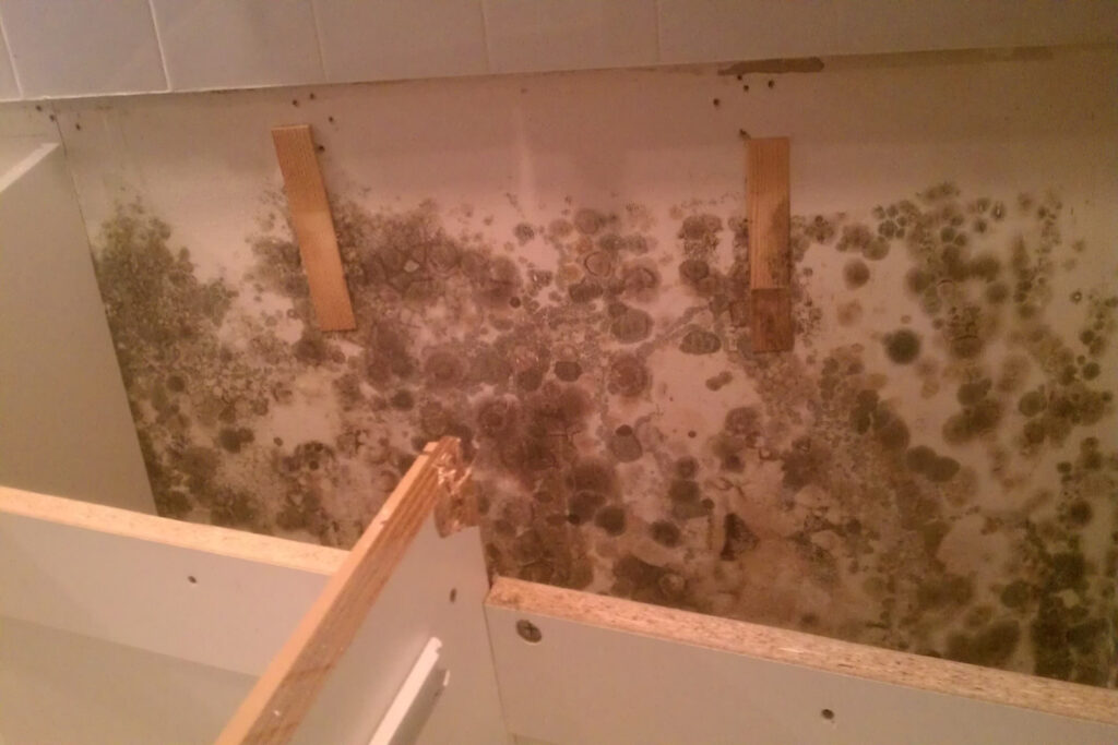 Hidden mold behind kitchen cabinets | Brevard County Mold Testing